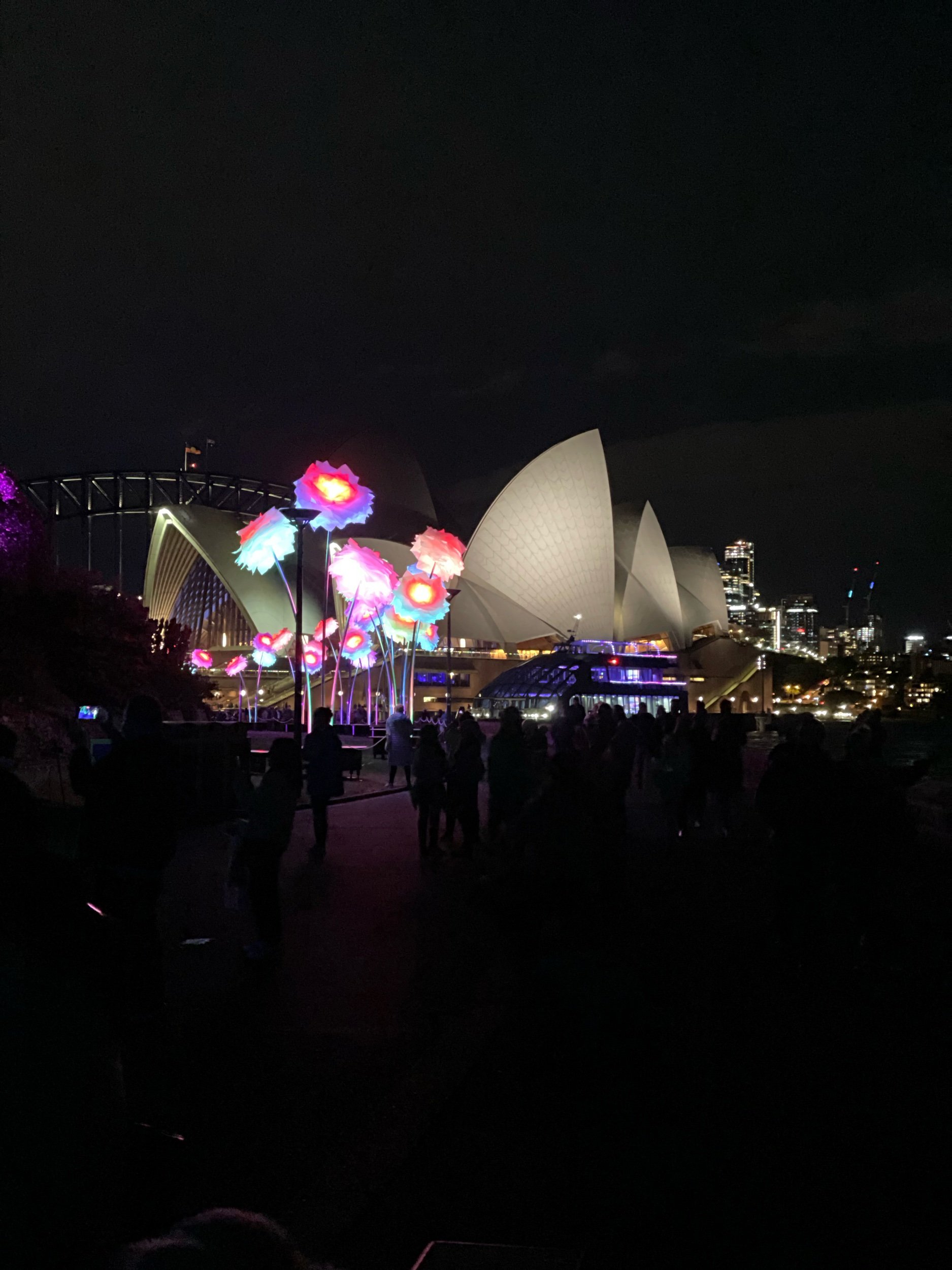 The Best Time To Visit Bondi Beach A Seasonal Guide — Visit Bondi Beach