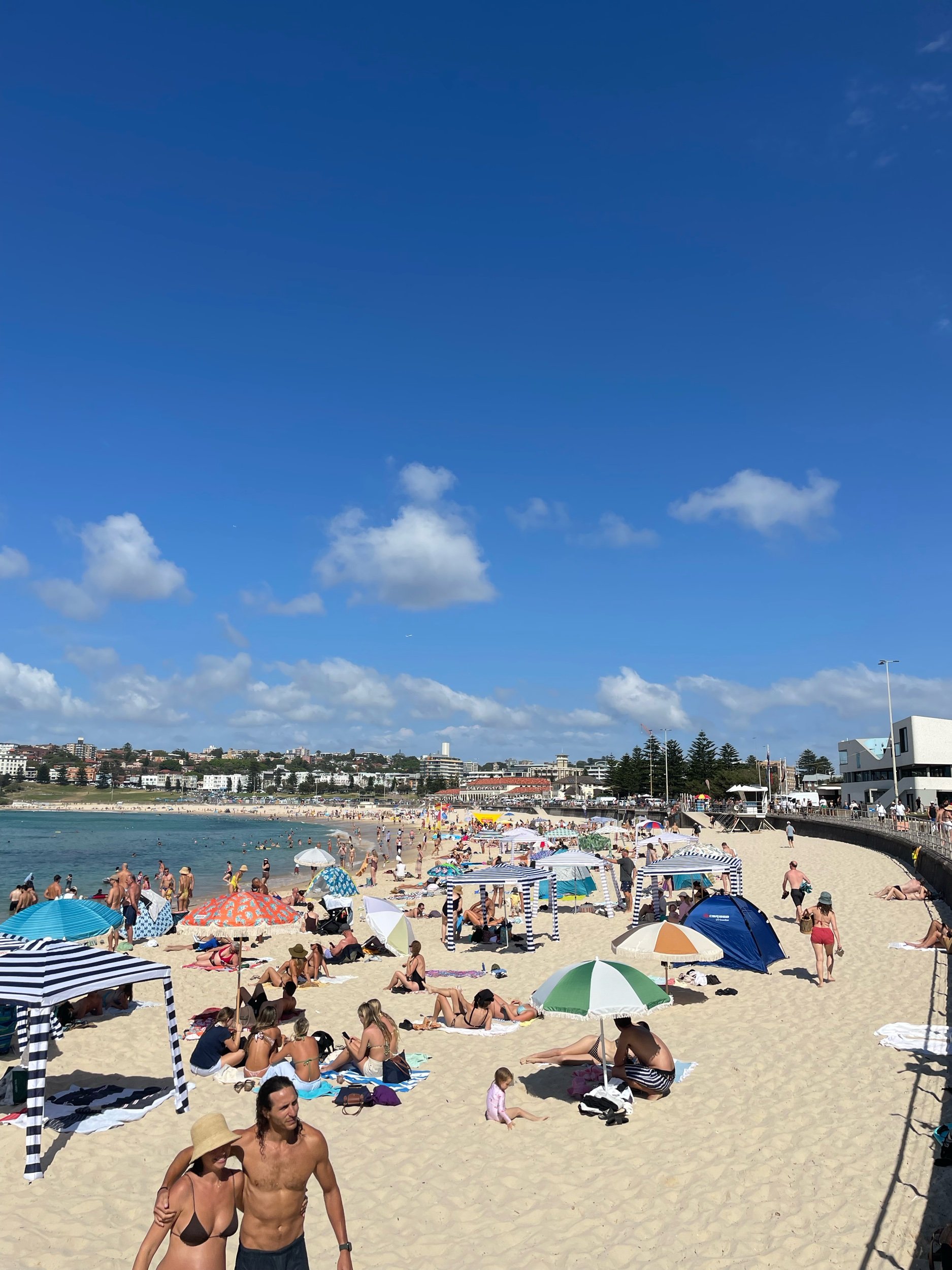 The Best Time To Visit Bondi Beach A Seasonal Guide — Visit Bondi Beach