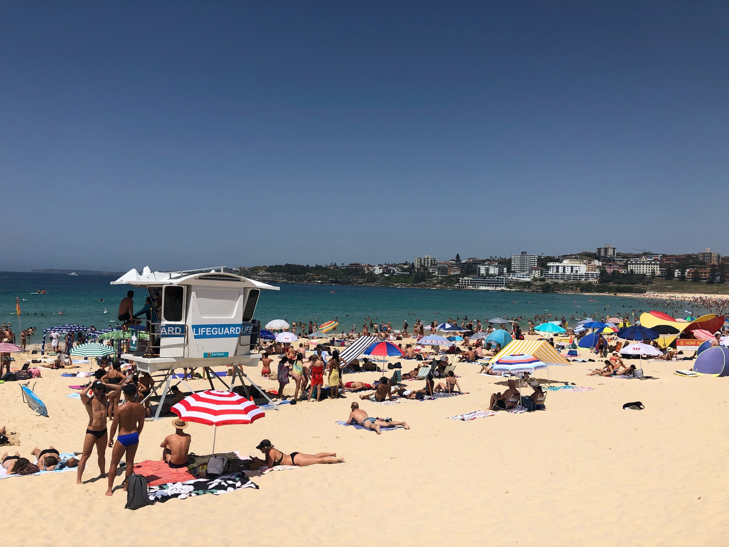 Bondi Beach Sydney Your Complete Travel Guide