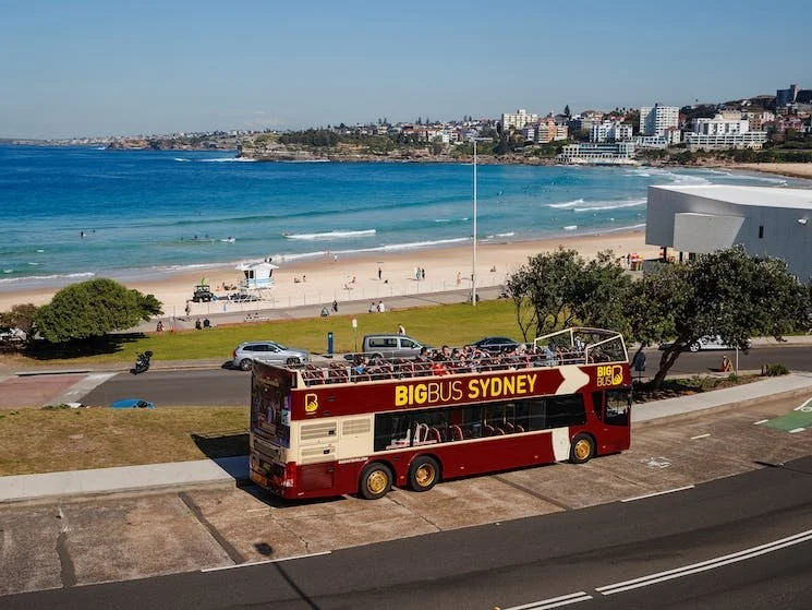 Tours — Visit Bondi Beach