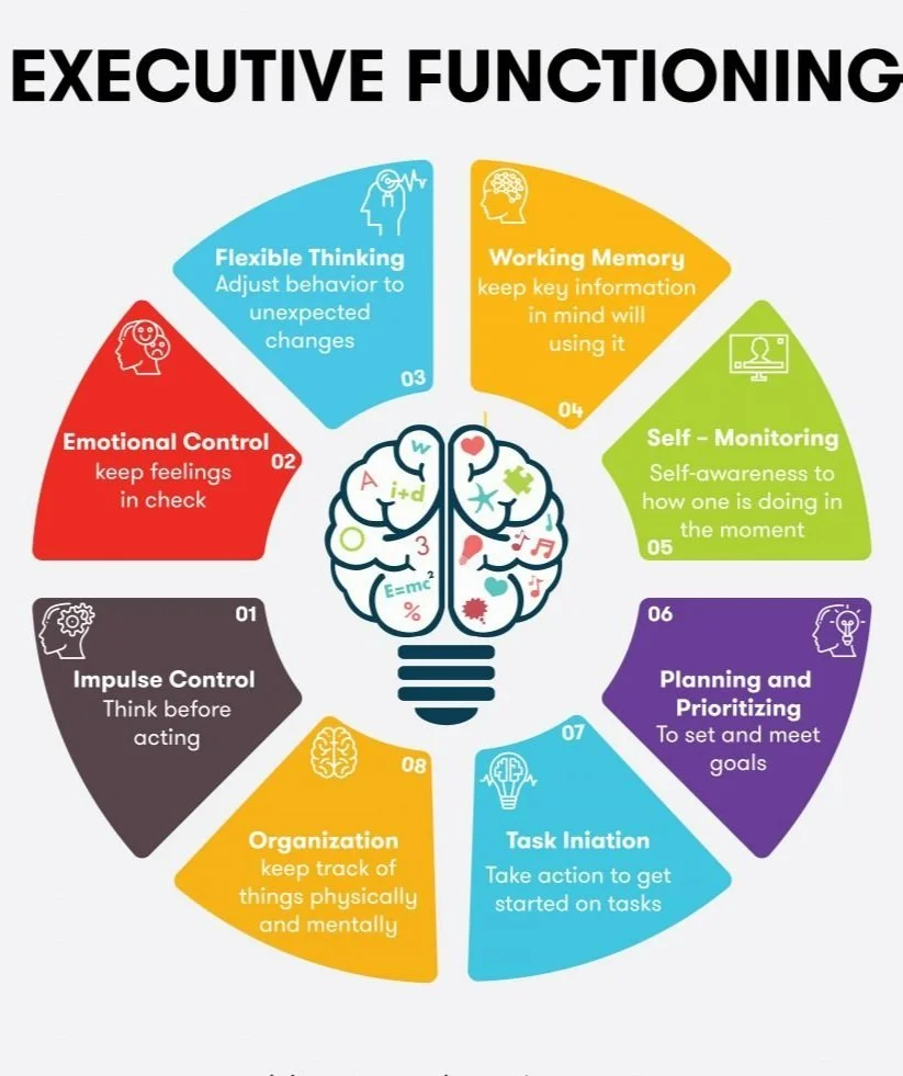 What is Executive Function? | Laniakea