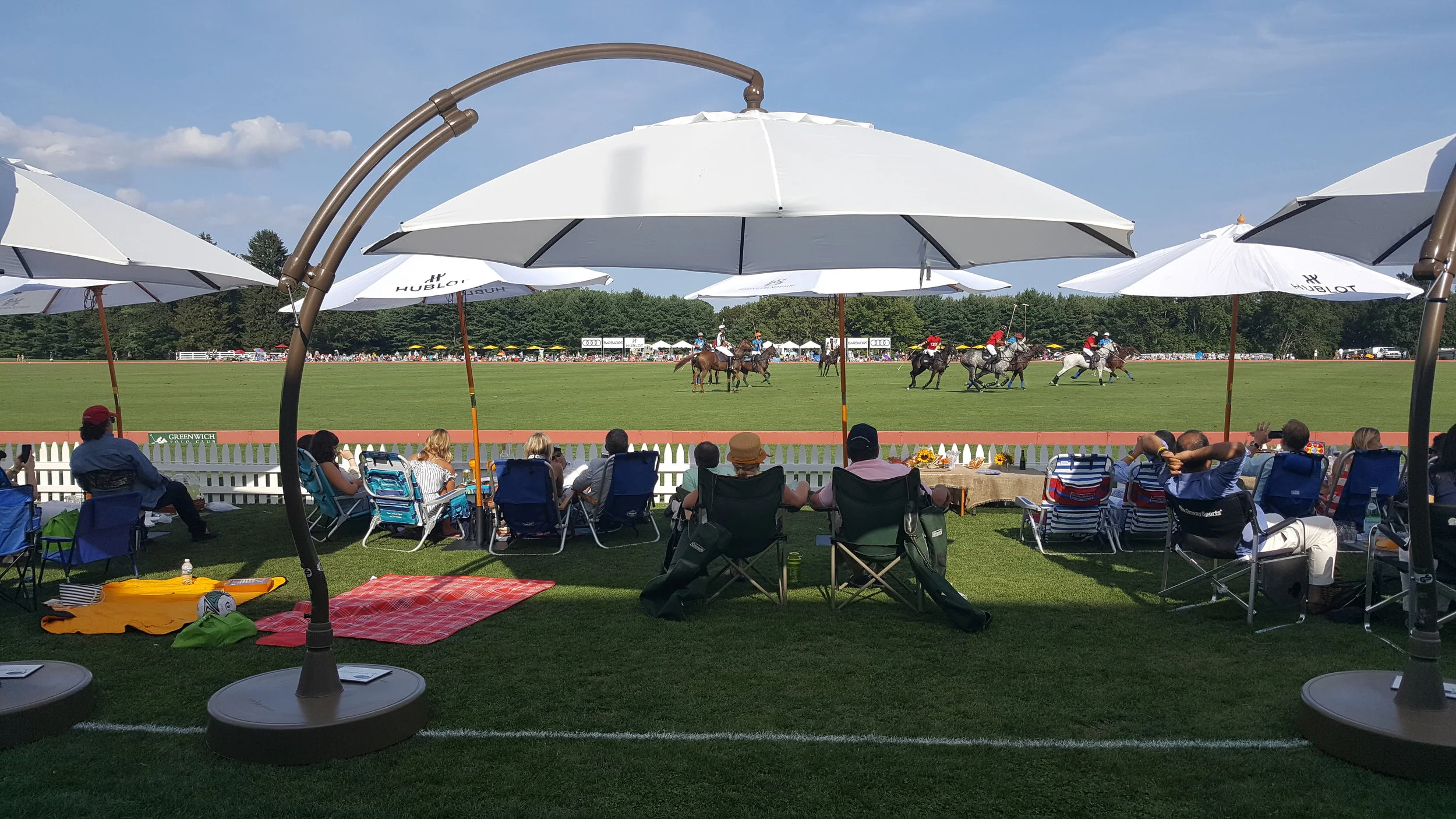 Interview with Garden Designer and Horticulturist Emma Lam from A Small ...