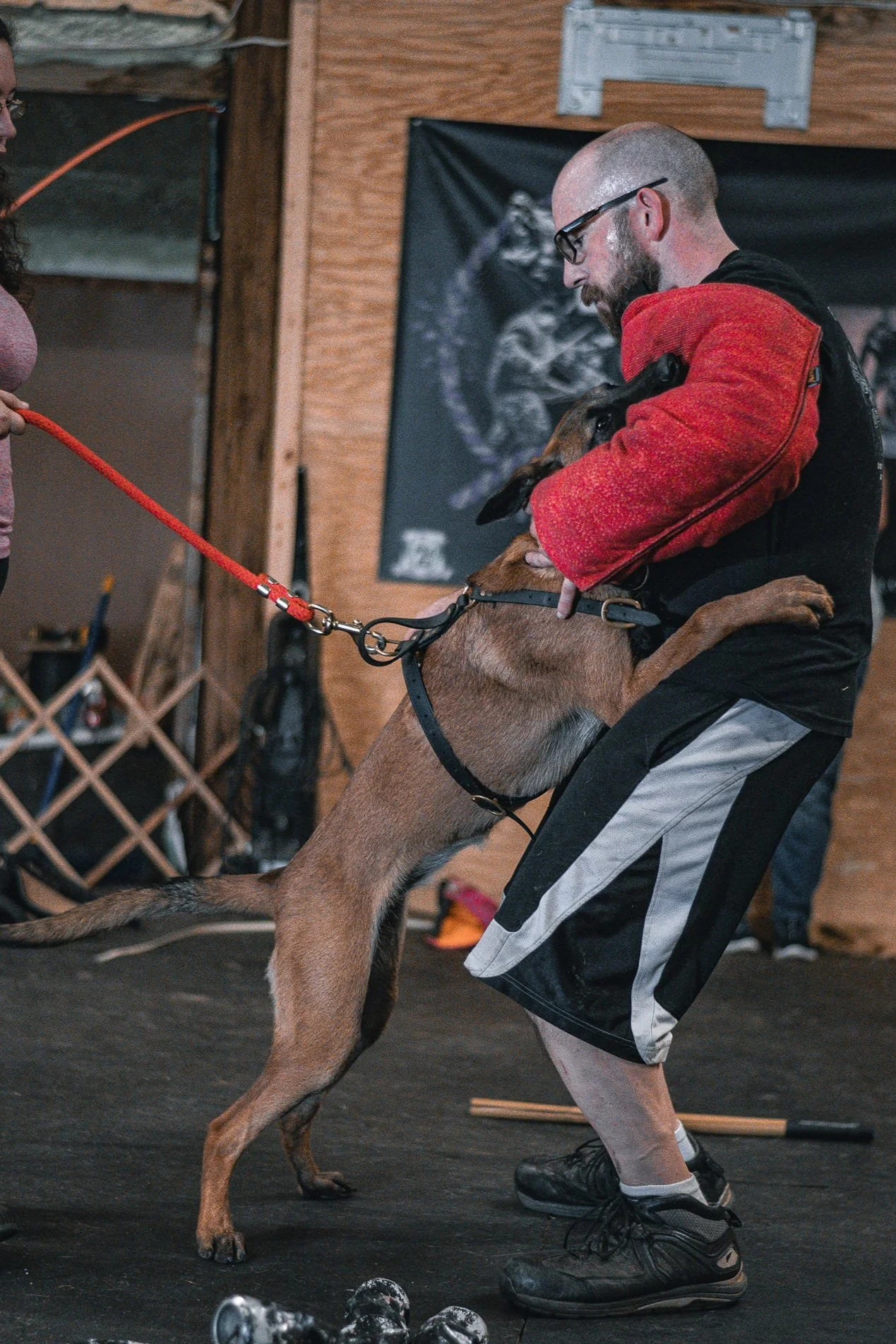 Our Dogs - Dyneema K9 — Happy Active Dog & Dyneema K9