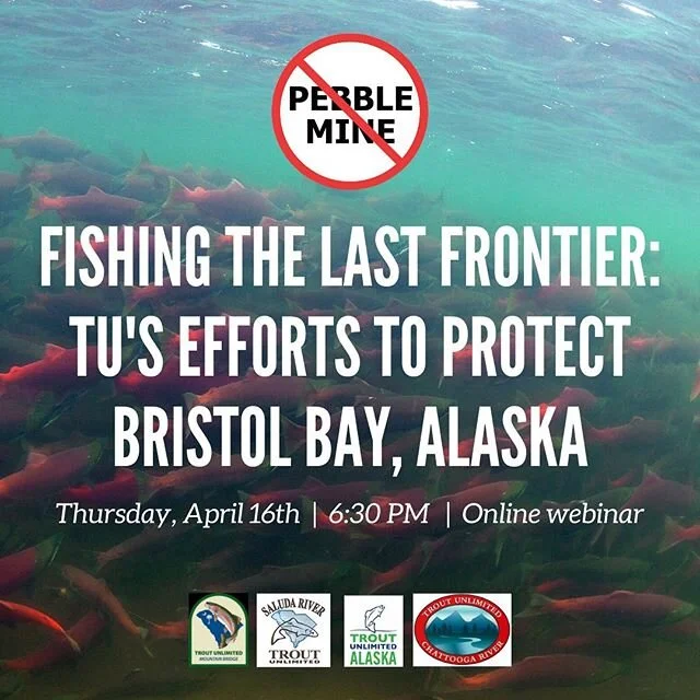 Mountain Bridge Chapter #46 of Trout Unlimited