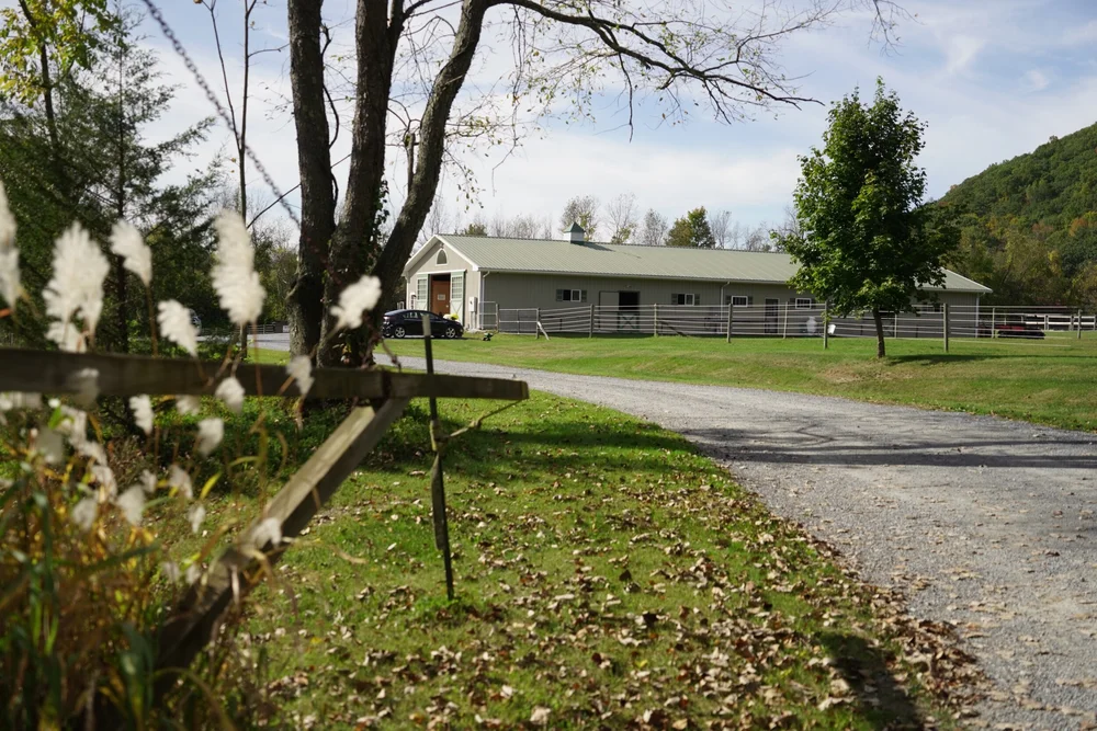 Wilden's Run Farm — Wilden's Run Farm