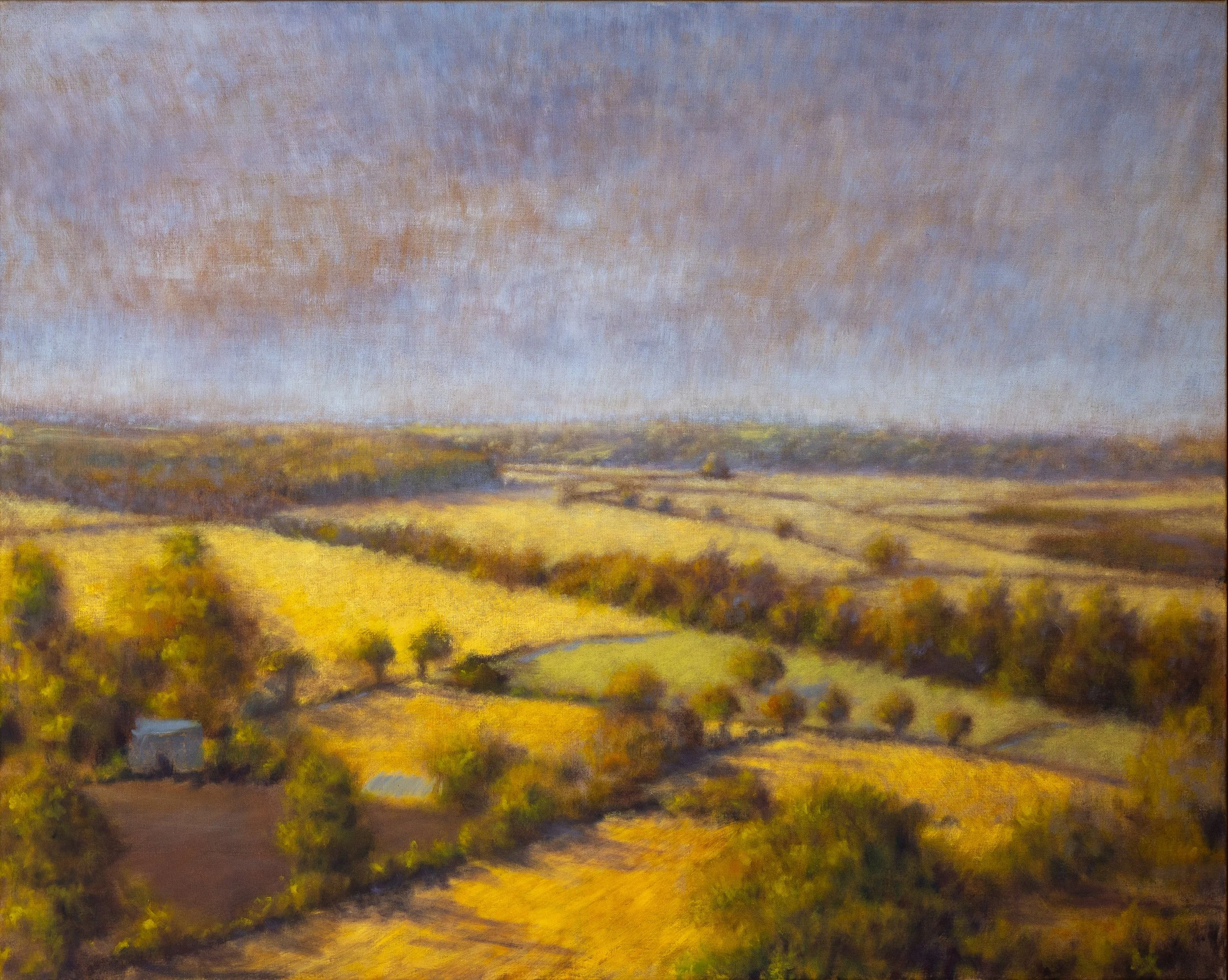 18:11 Beech on Bennachie - Ollie Marr — NORTH COAST ASYLUM