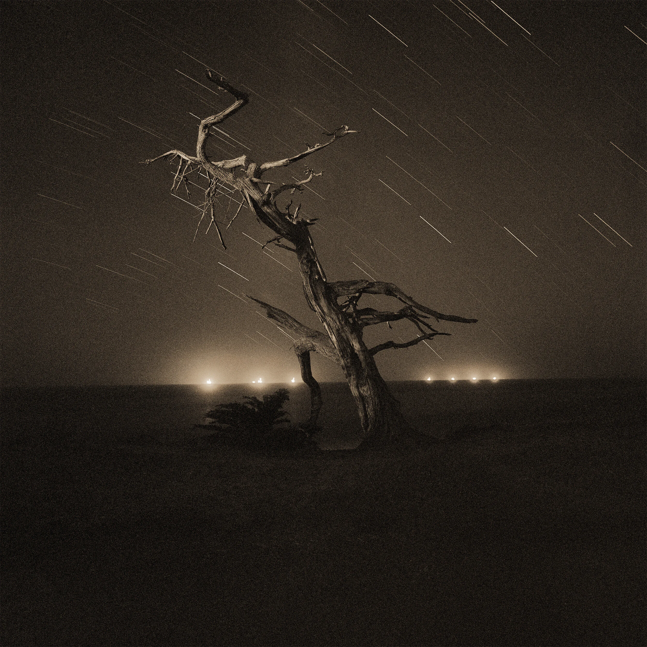 Traces of Light by Adam Gerlach — Dark Spring Press