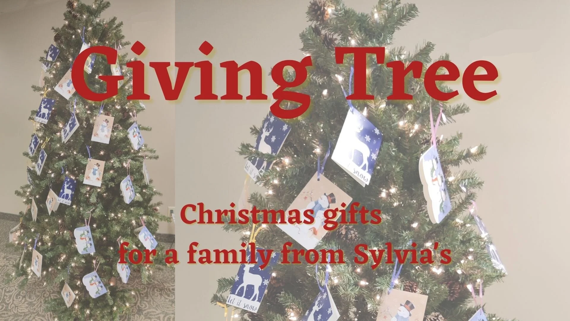 Special Christmastime opportunities for giving (Copy) — Peace Lutheran ...