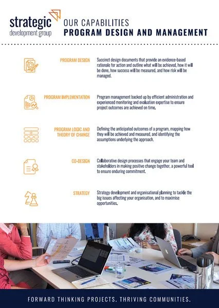 What we do — STRATEGIC DEVELOPMENT GROUP