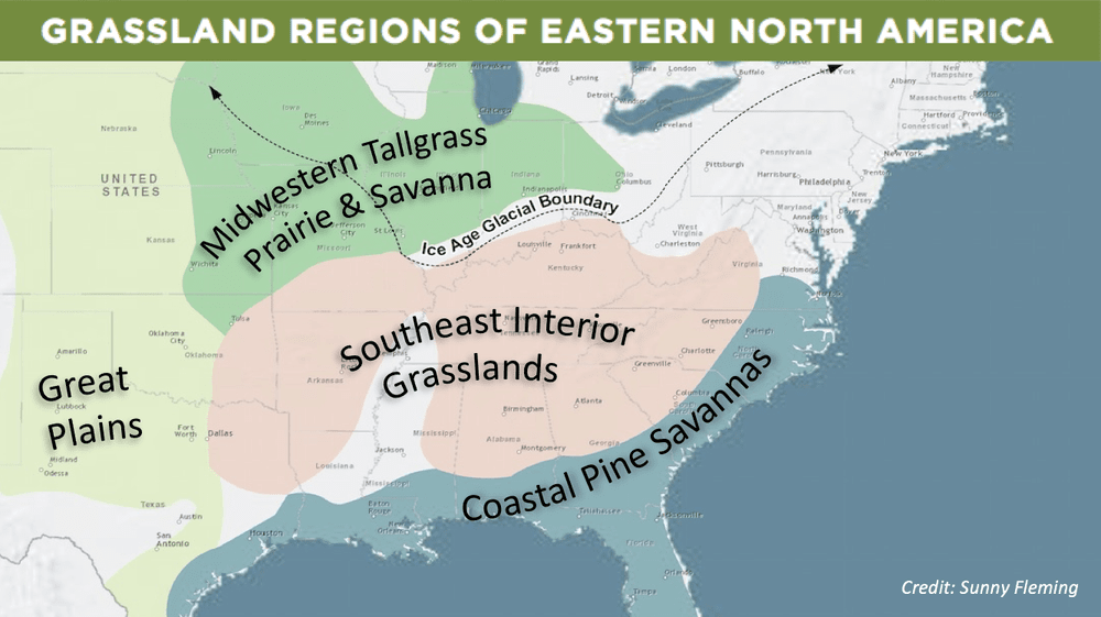 Why Southern Grasslands? — Southeastern Grasslands Institute