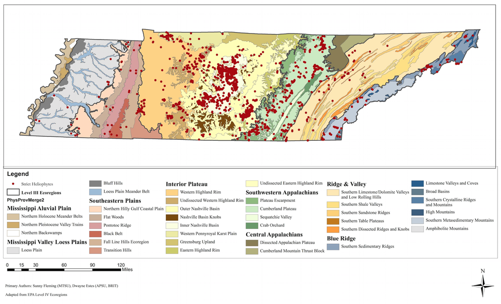 Mapping Historical Grasslands — Southeastern Grasslands Institute