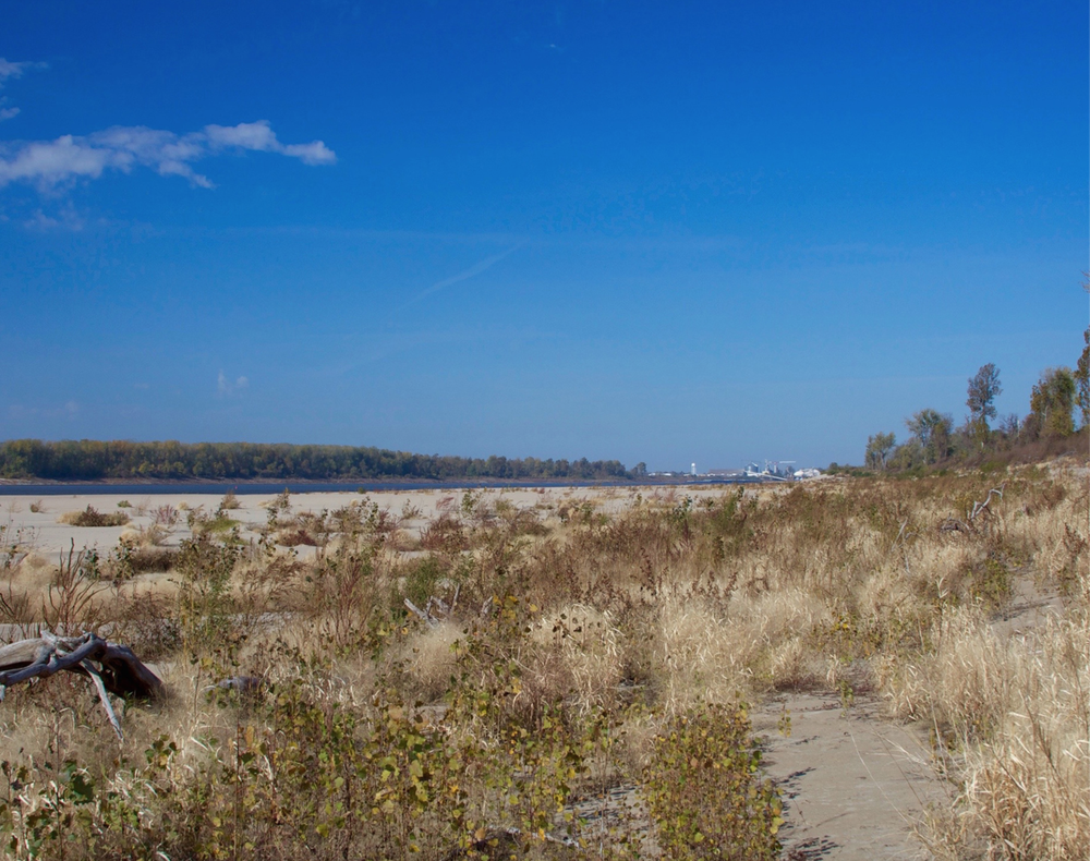 What are Southeastern Grasslands? — Southeastern Grasslands Institute