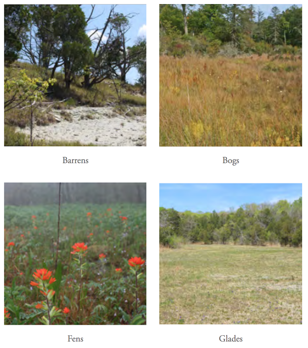 Biodiversity Exploration & Documentation — Southeastern Grasslands ...