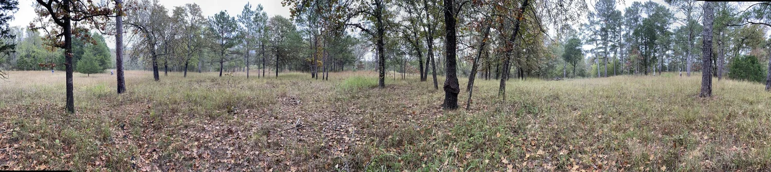 Sumter Farm — Southeastern Grasslands Institute