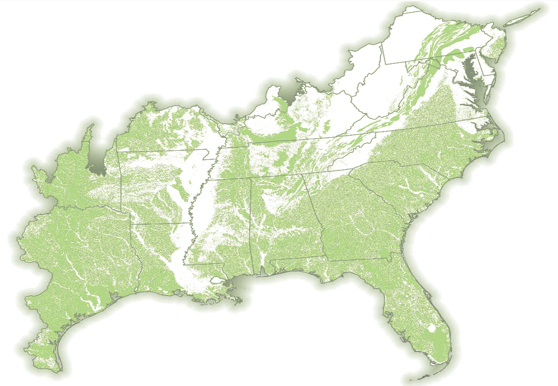 Our Team — Southeastern Grasslands Institute