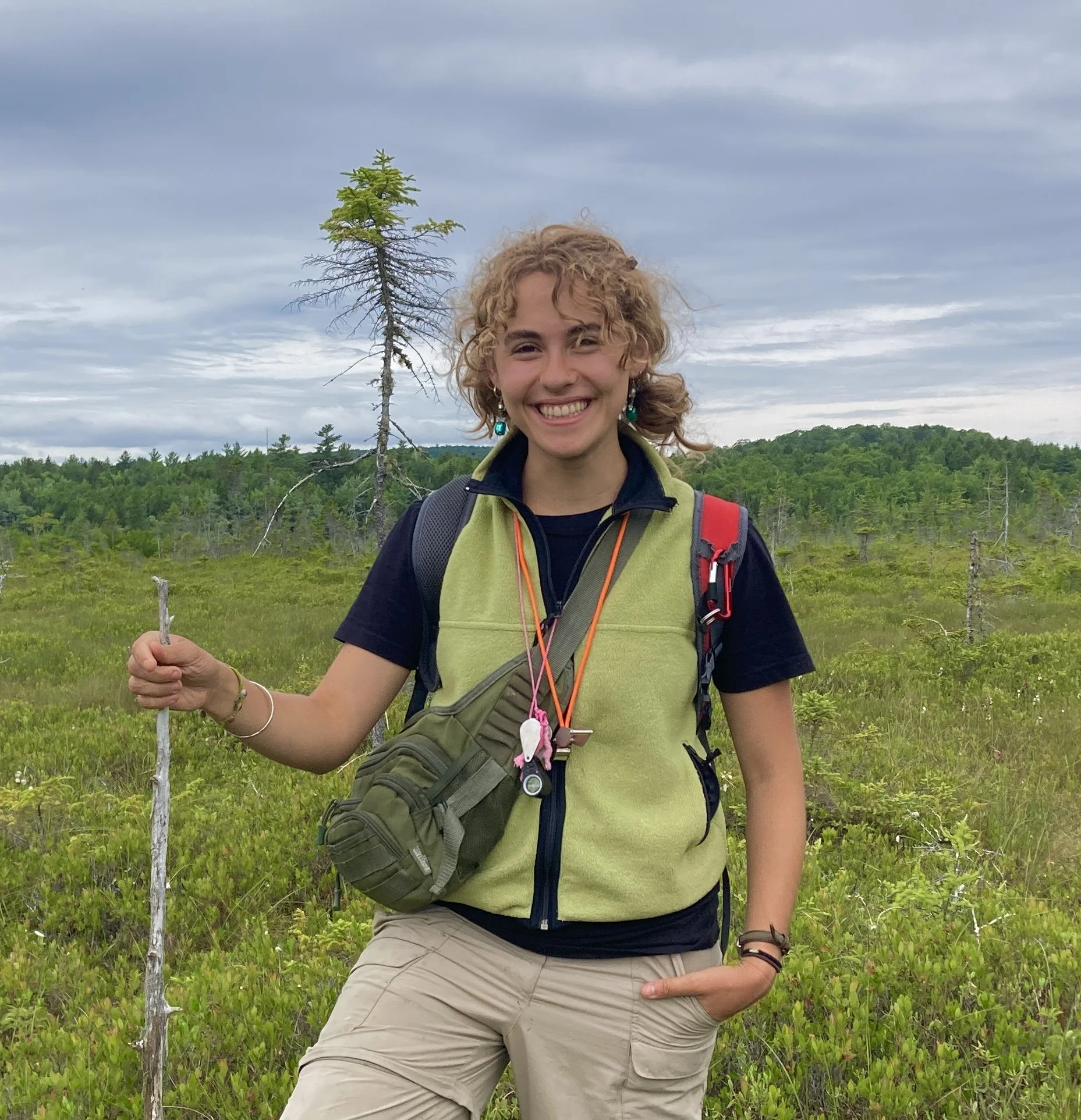 Grasslands Restoration — Southeastern Grasslands Institute