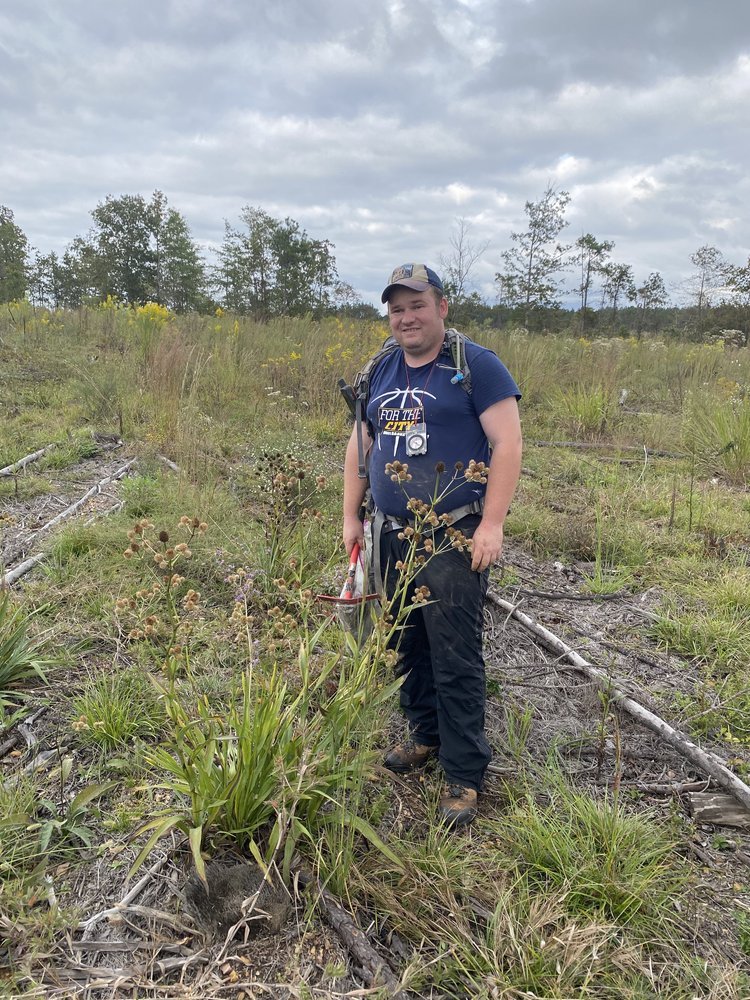 Grasslands Restoration — Southeastern Grasslands Institute