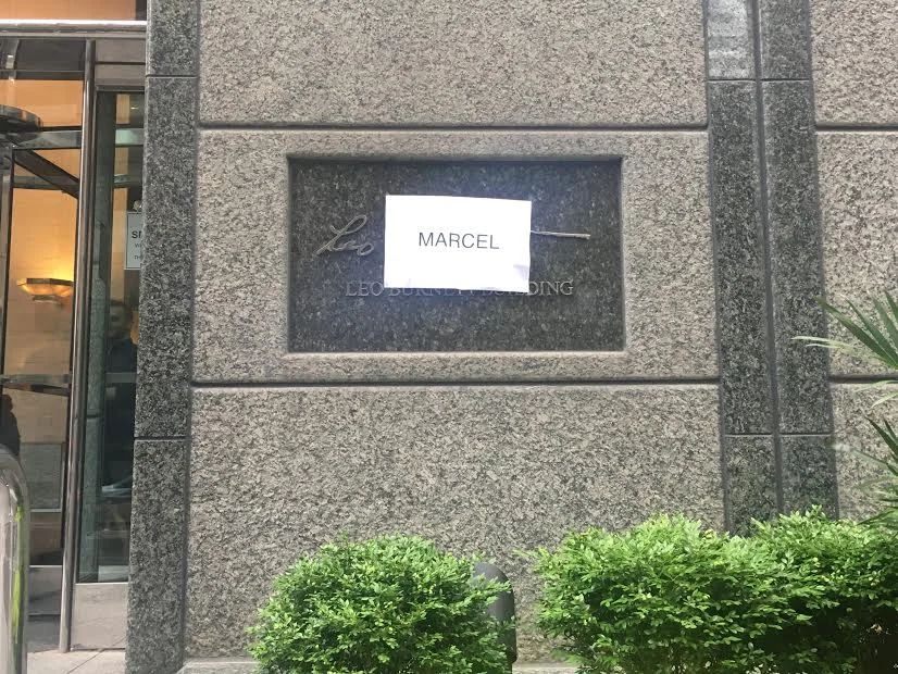 Colleen Horne Art Director