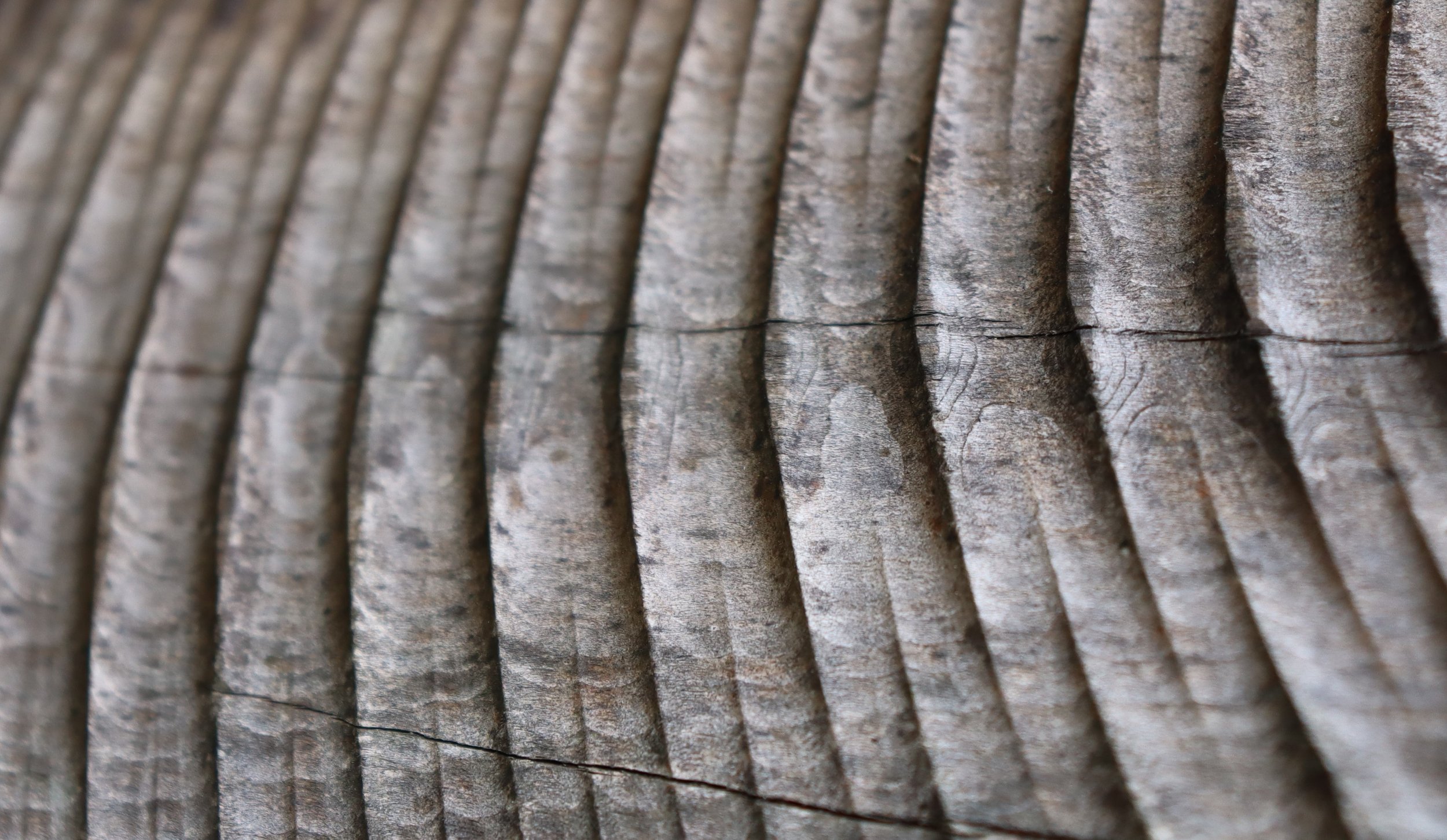 Sculpture Imagery — James Crisp Sculptor