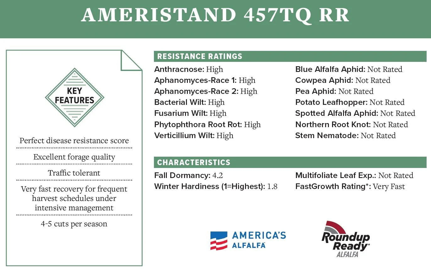 Alfalfa — Seed Genetics Direct