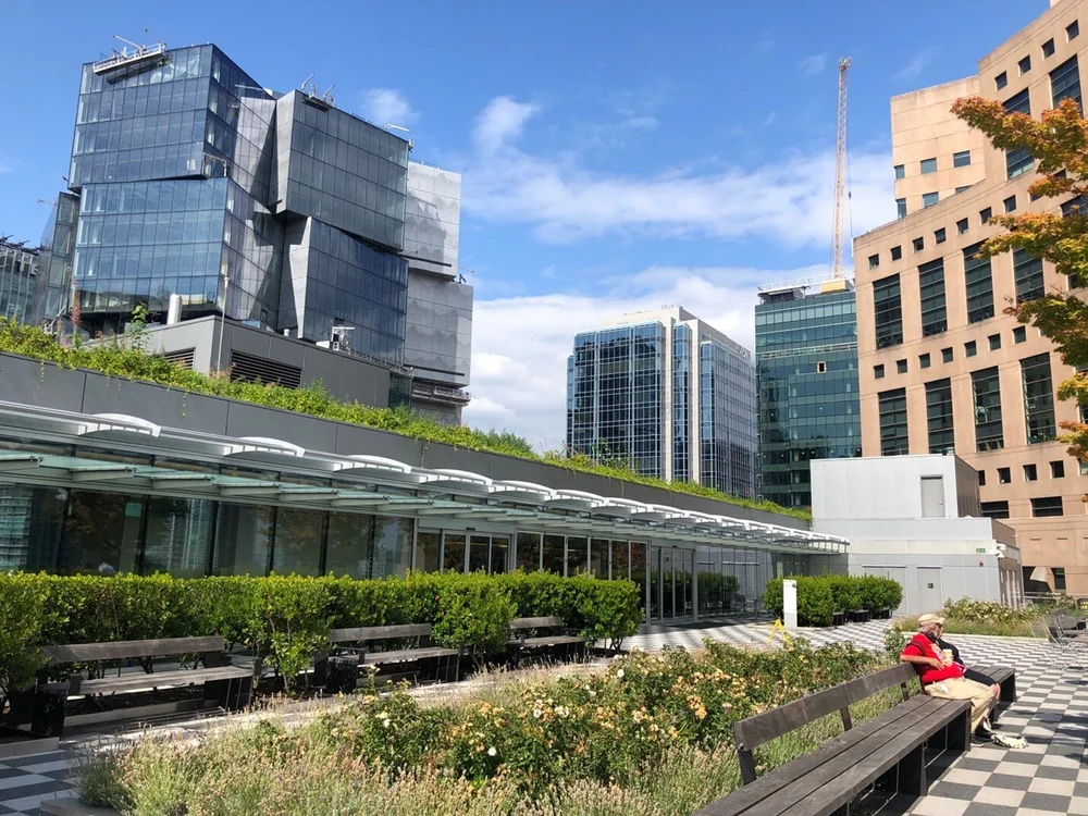 Public Rooftop Garden and Respite in the City: Vancouver Public Library ...