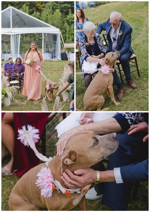 How to Include Your Dog in Your Wedding