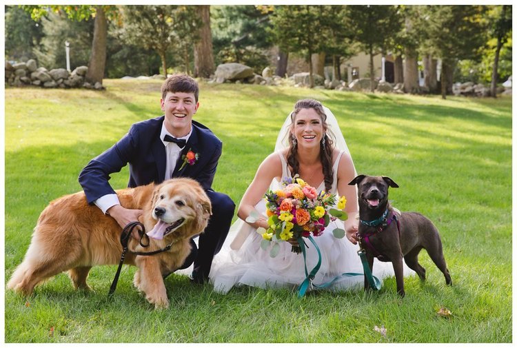 How to Include Your Dog in Your Wedding