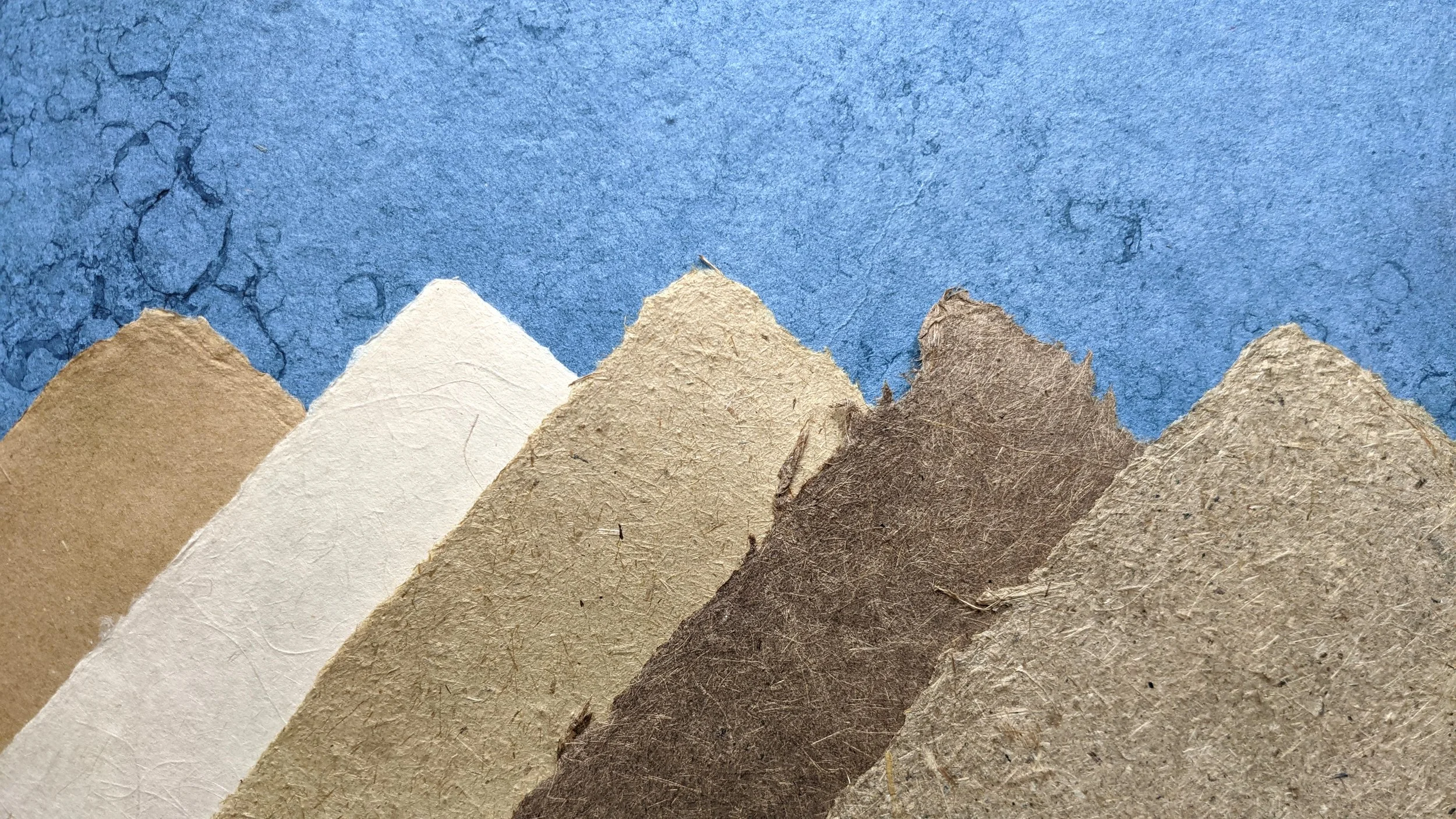 Colophon Book Arts Supply