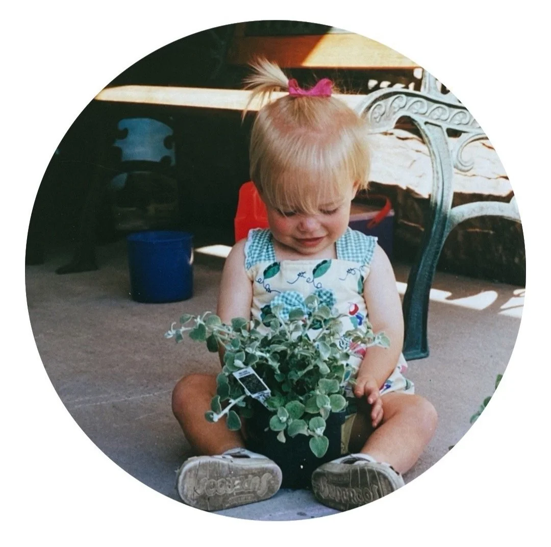 About — Taryn Knight Illustration