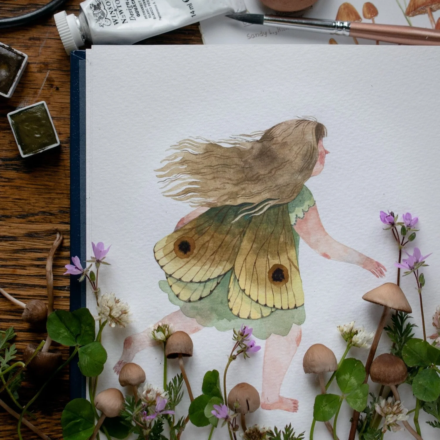 illustrations — Taryn Knight Illustration