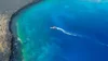 Molokini Crater – Maui’s Volcanic Marine Sanctuary & Snorkel Guide