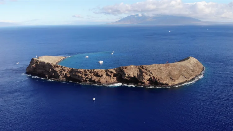 Molokini Crater – Maui’s Volcanic Marine Sanctuary & Snorkel Guide