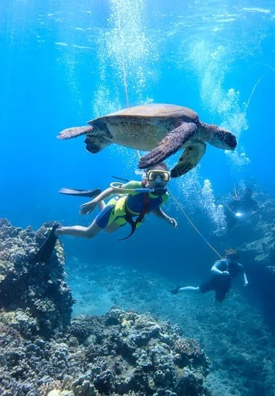 History of Molokini Crater – Formation, Legends & Conservation ...
