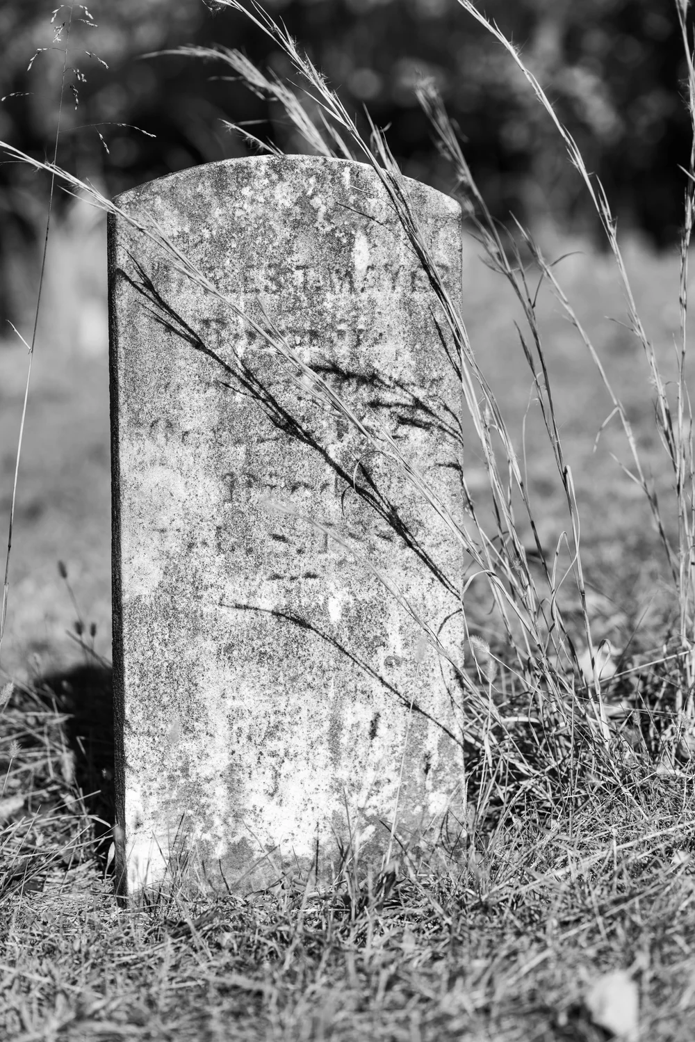 The Ridges — Gregory Couch