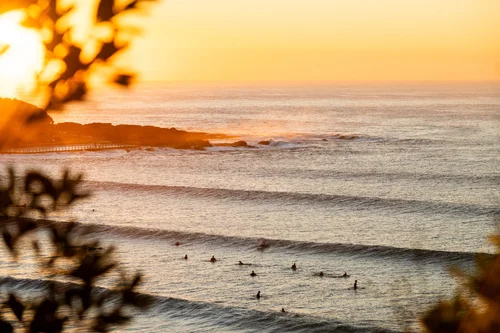 Comfort — Sprout Daily