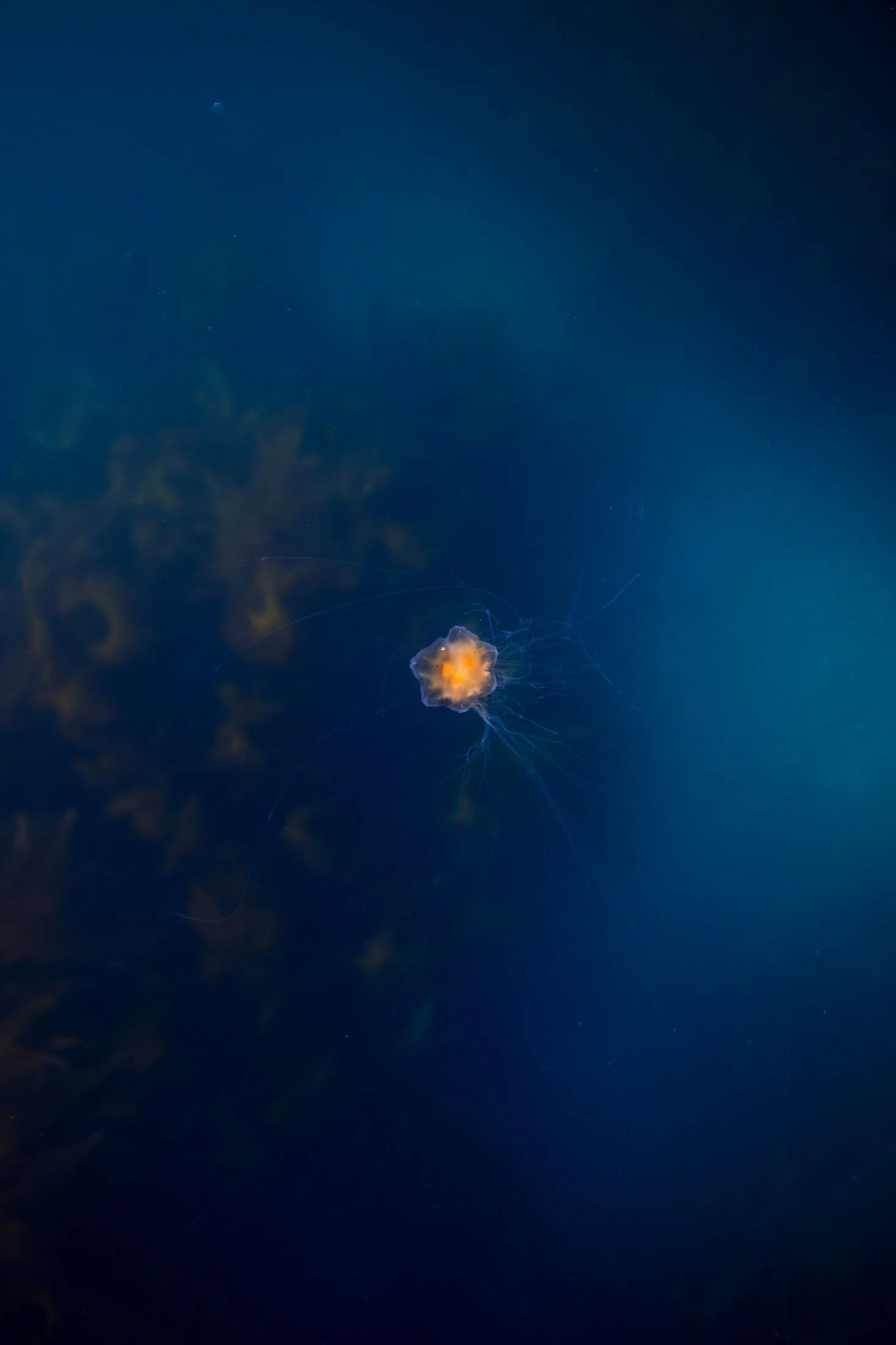 Cyclus vol I - IV — ETT PUST - ONE BREATH