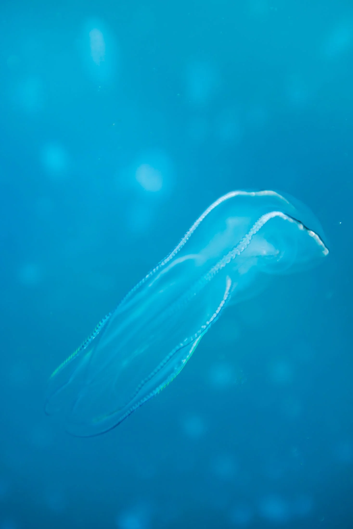 Cyclus vol I - IV — ETT PUST - ONE BREATH