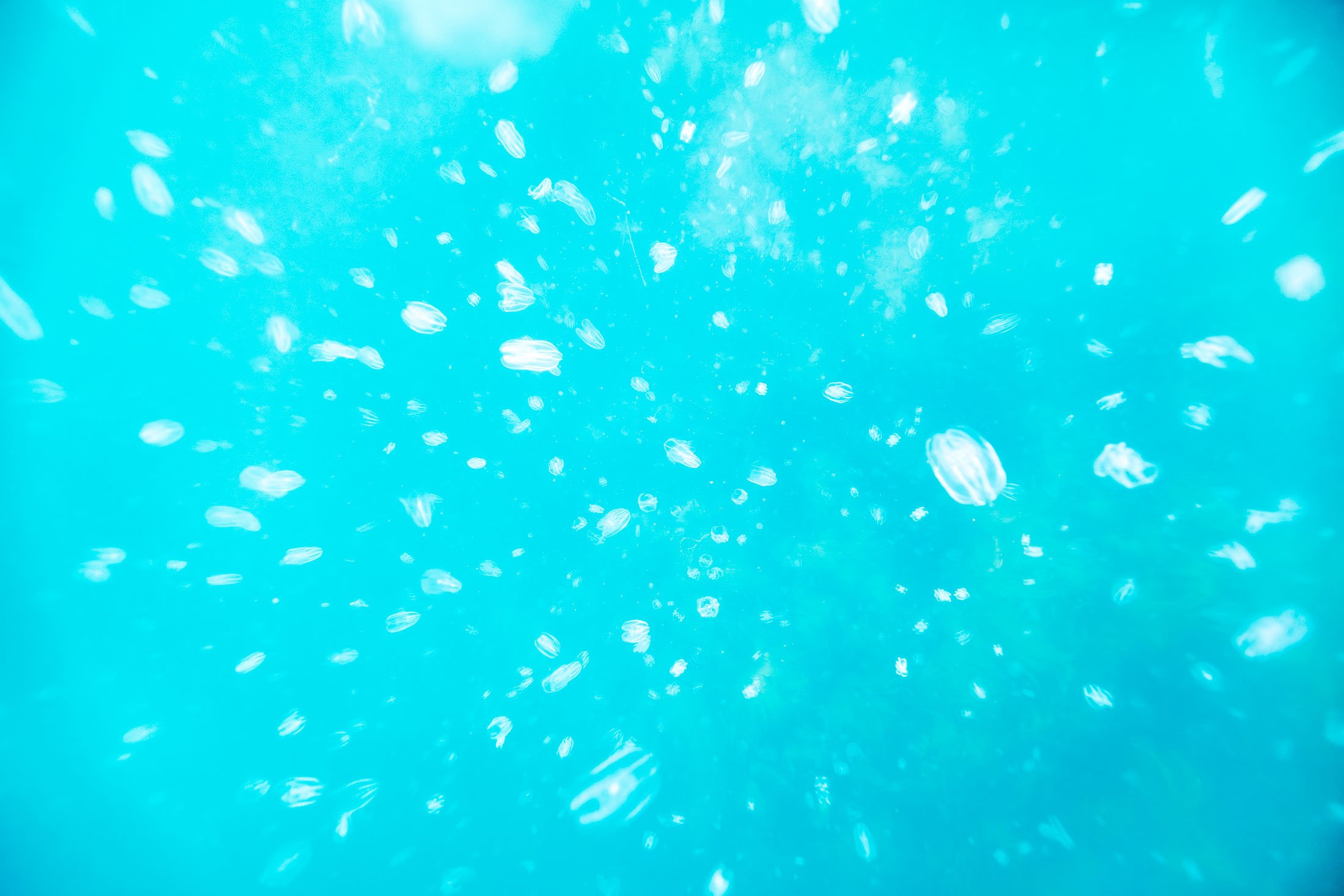 Cyclus vol I - IV — ETT PUST - ONE BREATH