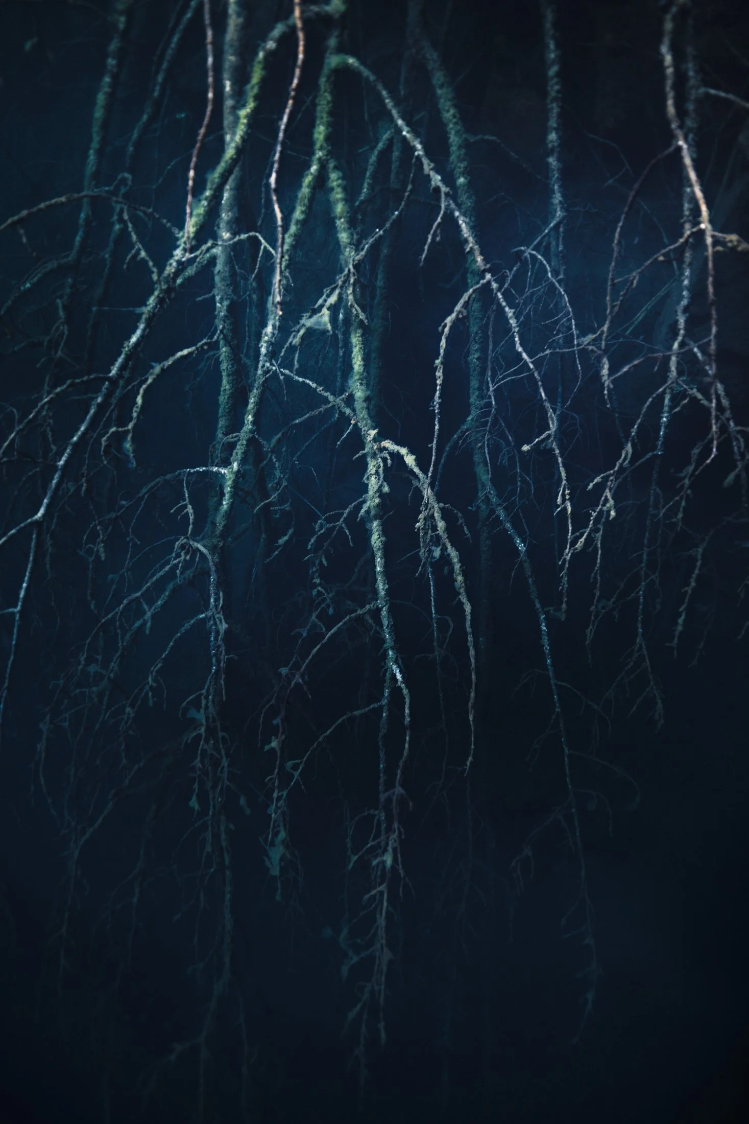 Fallen vol I - IV — ETT PUST - ONE BREATH