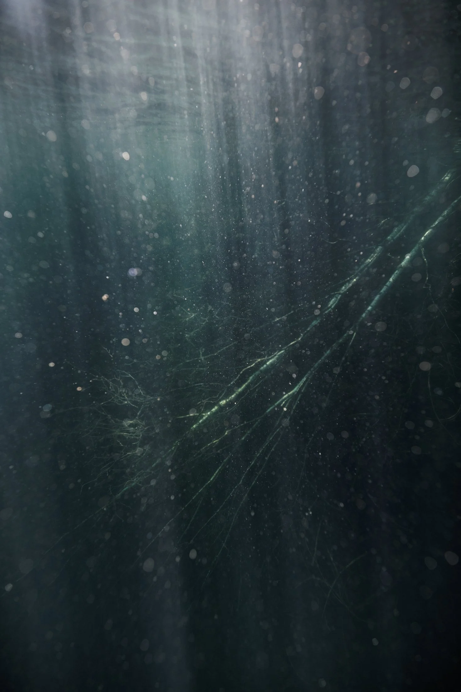Fallen vol I - IV — ETT PUST - ONE BREATH