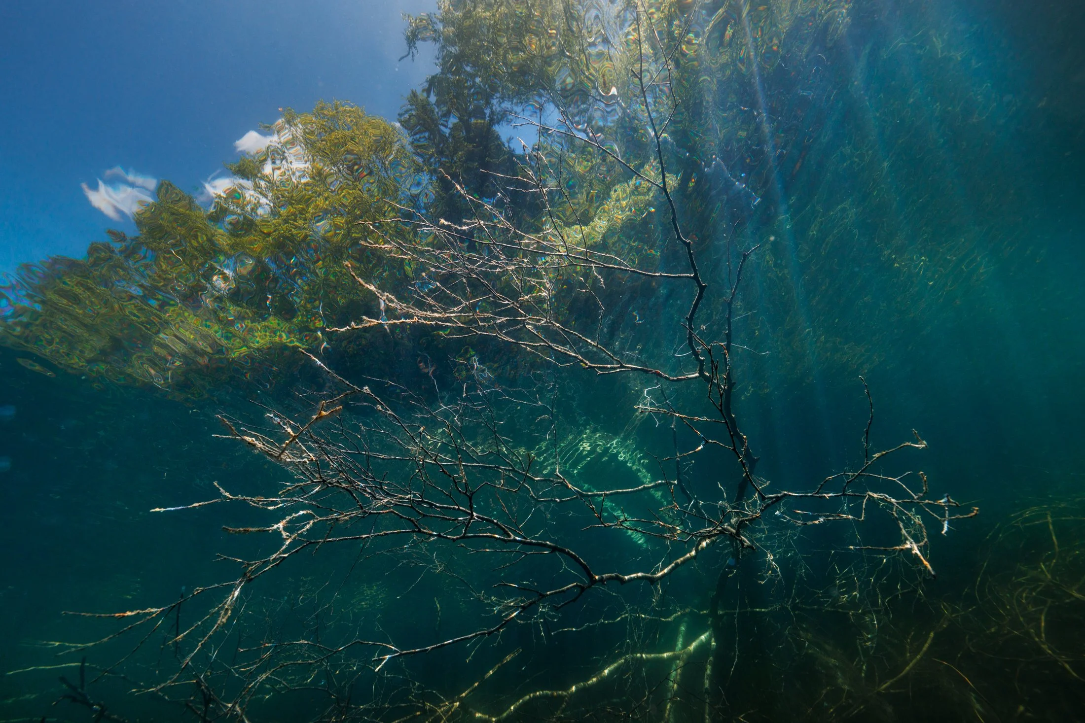 Fallen vol I - IV — ETT PUST - ONE BREATH