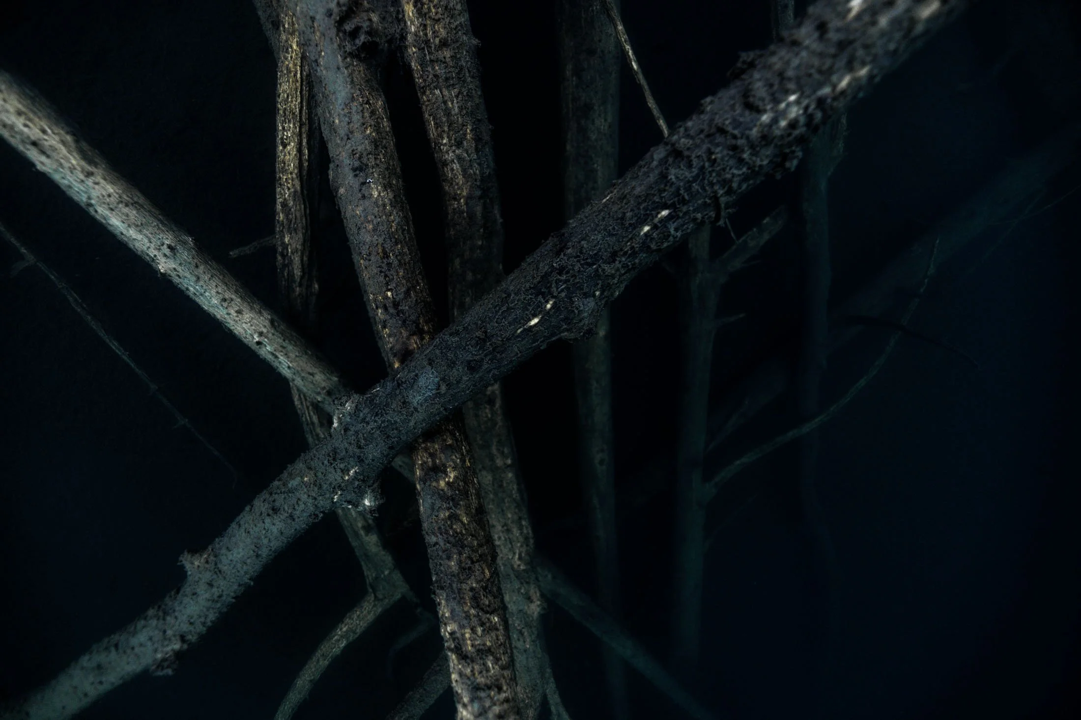 Fallen vol I - IV — ETT PUST - ONE BREATH