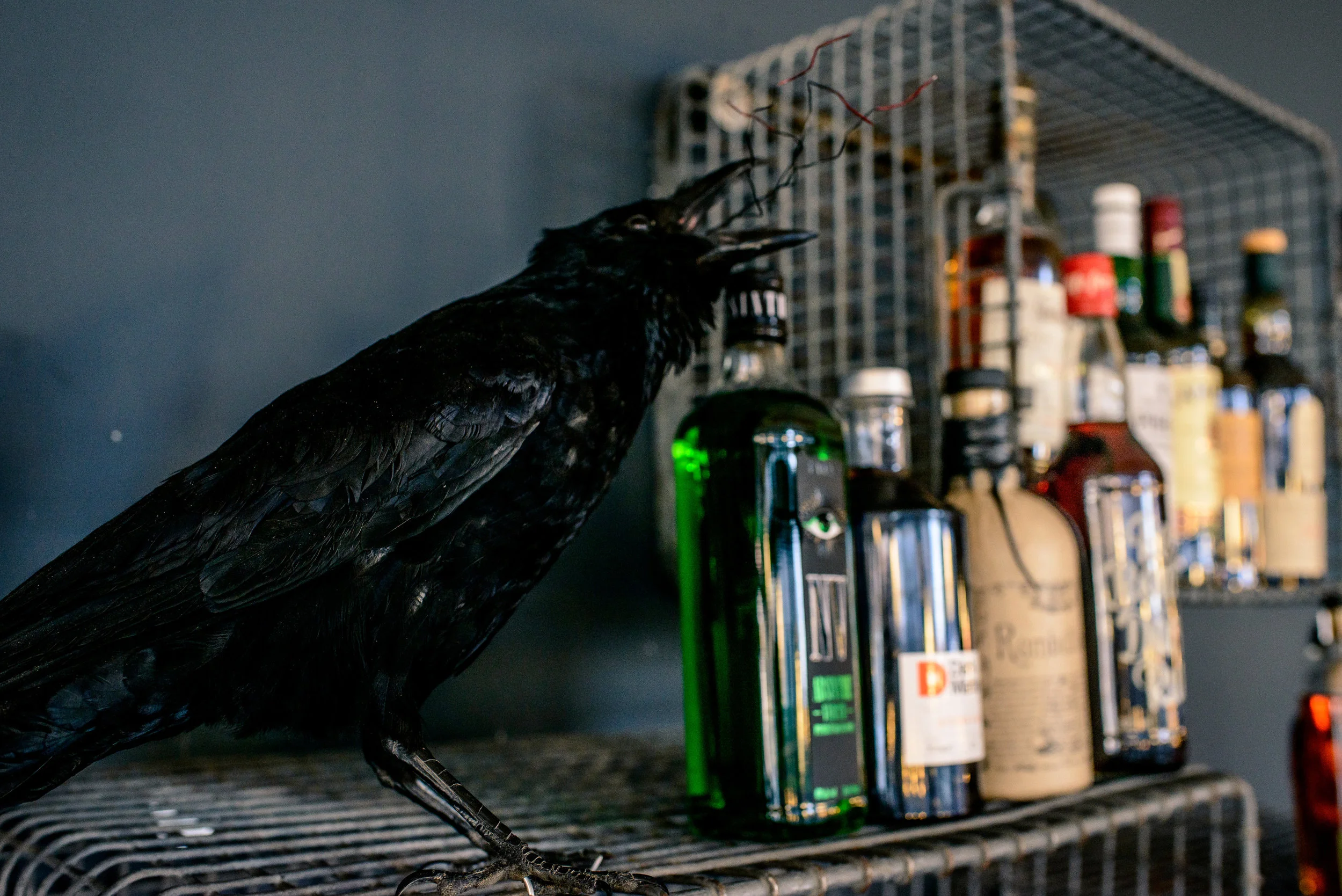 ELNECOT - Elnecot Ancoats Neighbourhood Bar & Kitchen