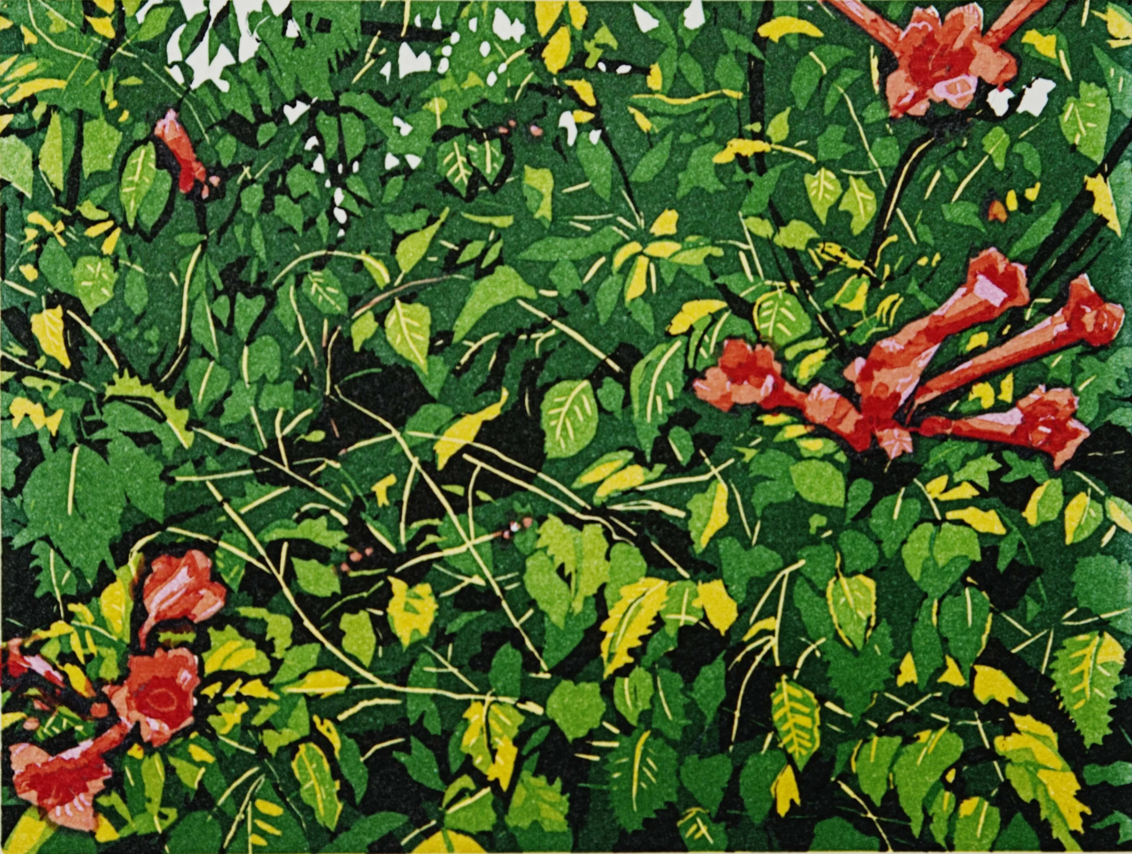 Trumpet Vine — LAQUITA THOMSON