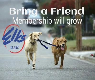 The Natick Elks