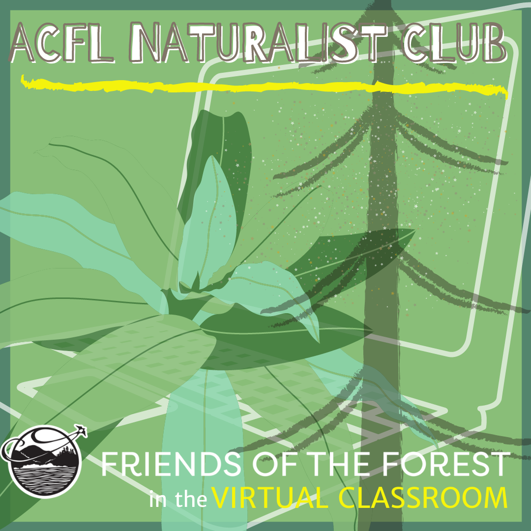 Friends of the Forest