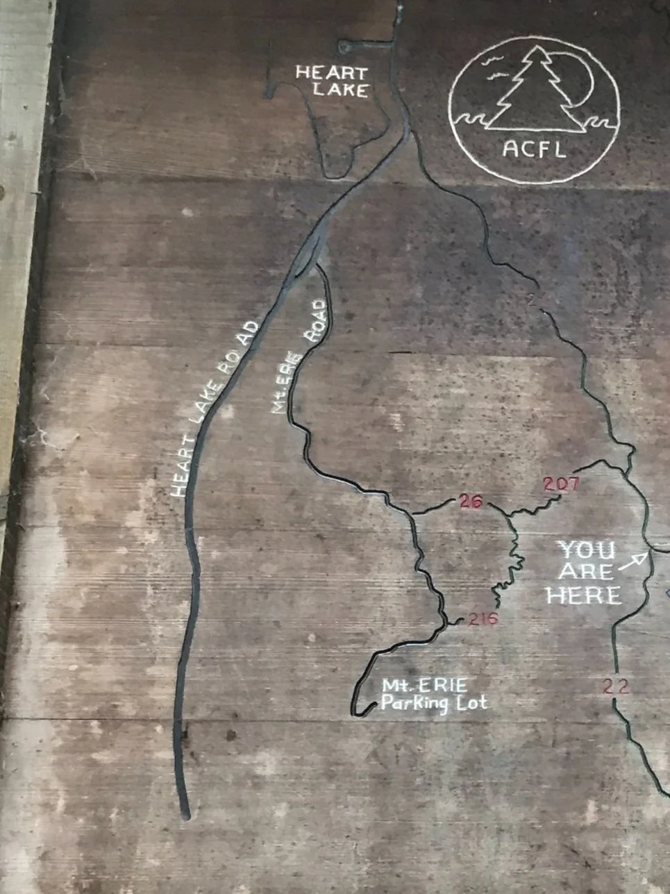 Friends of the Forest