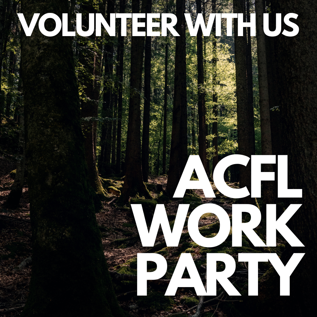 Upcoming Events — Friends of the Forest