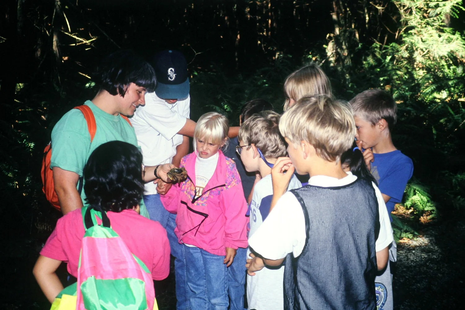 Our History — Friends of the ACFL