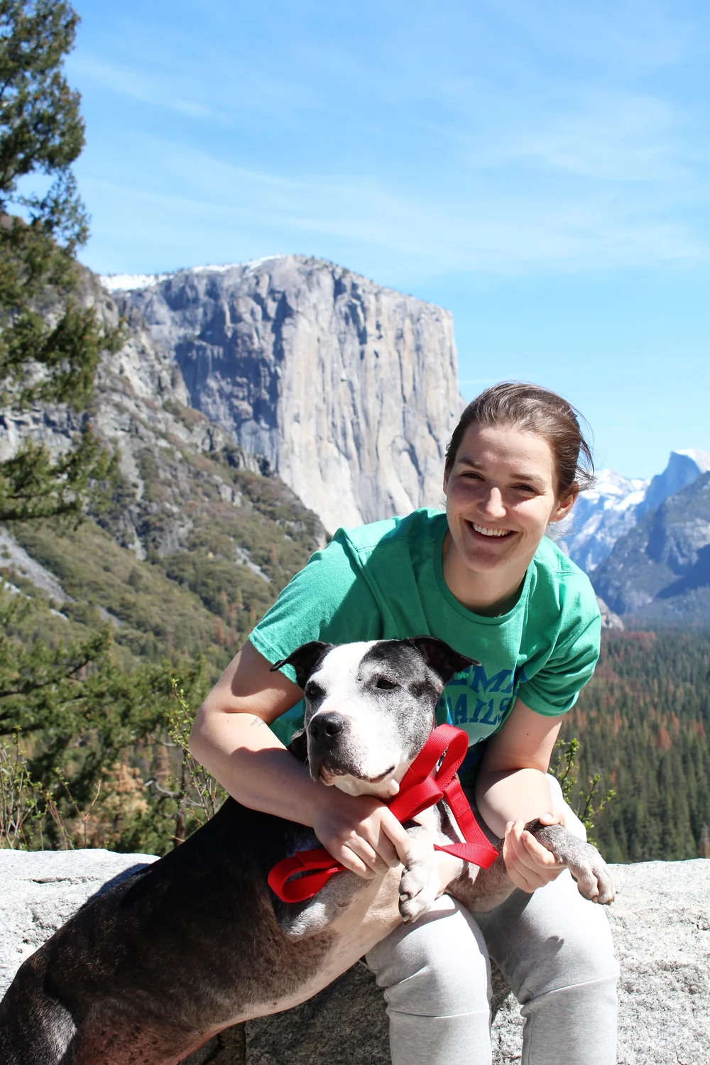 Can I Take Dogs To Yosemite
